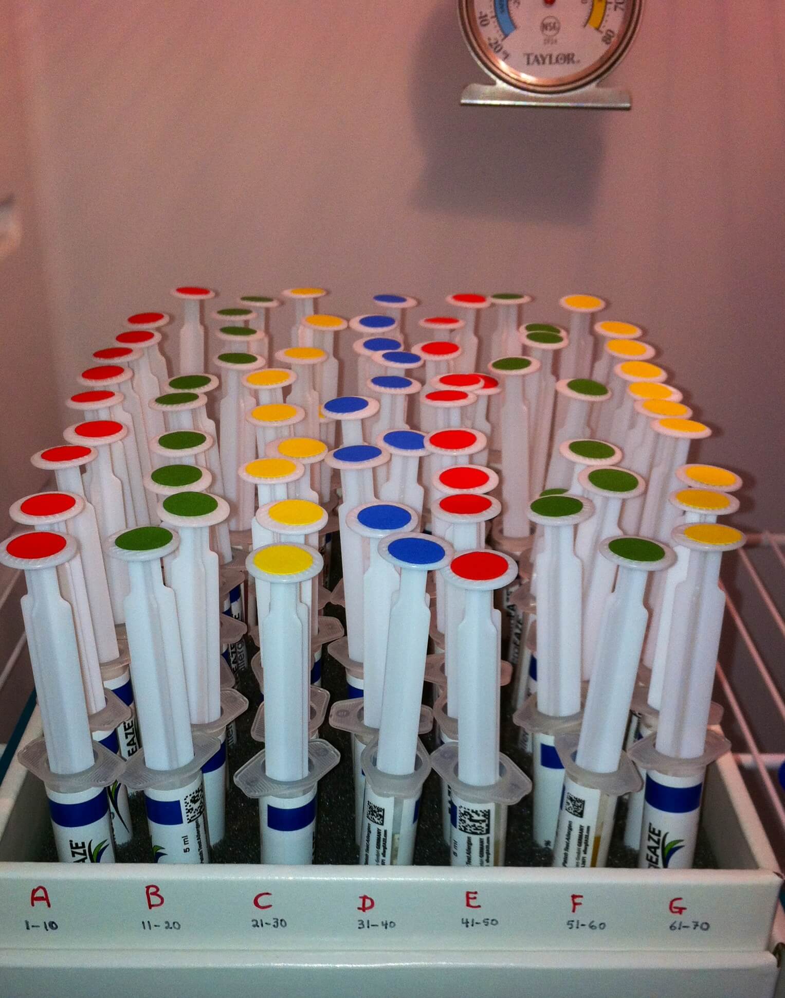 Skin Allergy Consultation In Miami, FL | Allergy & Immunology Center