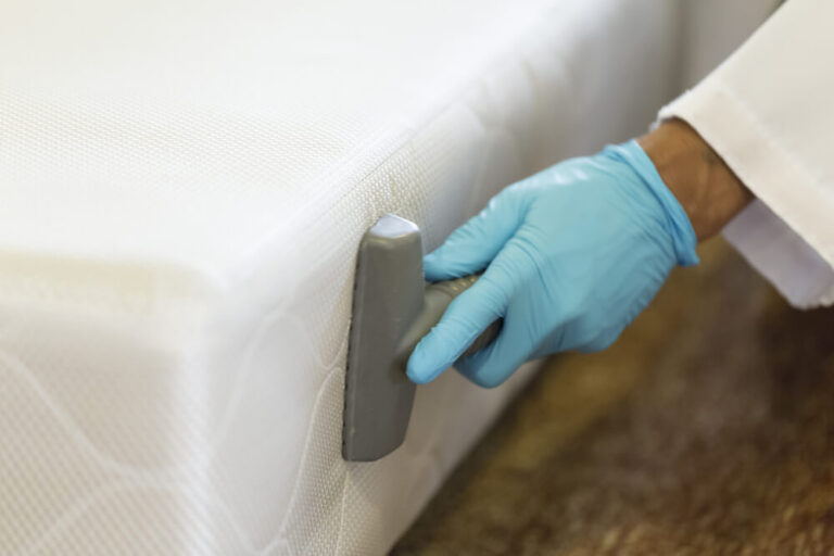 Allergy Cleaning: Tips On How To Remove Allergens From Home | Allergy ...