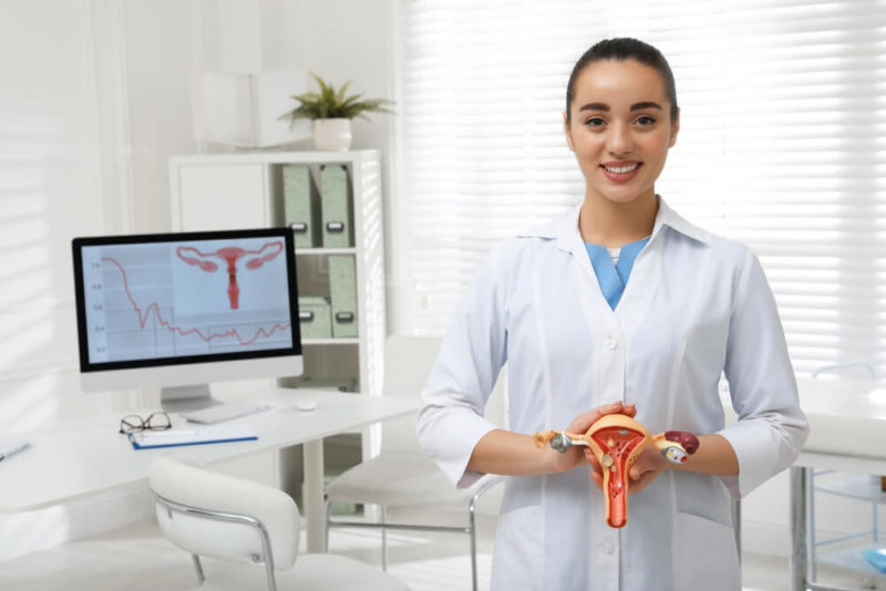 Uterus Didelphys What Are The Causes And Right Treatments