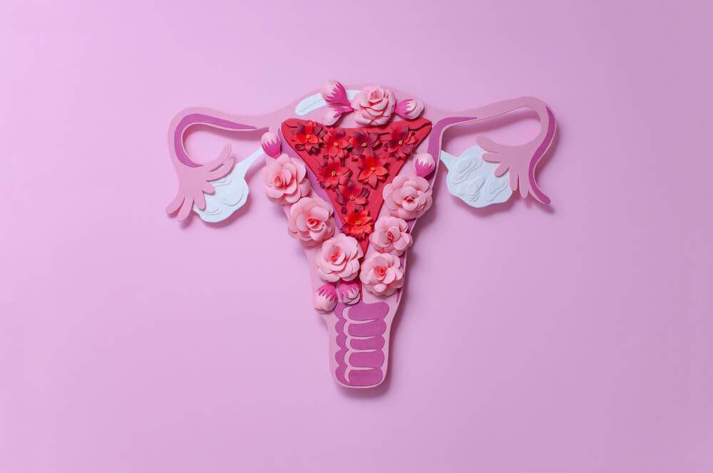 How To Take Good Care Of Your Reproductive System Ideal Women s