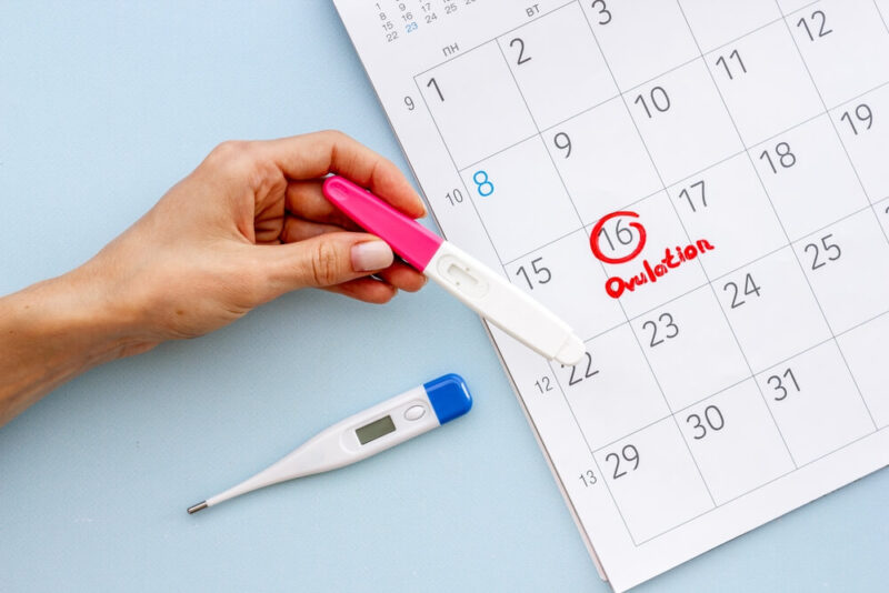 Understanding Ovulation: The Changes in Your Body You Need to Know ...
