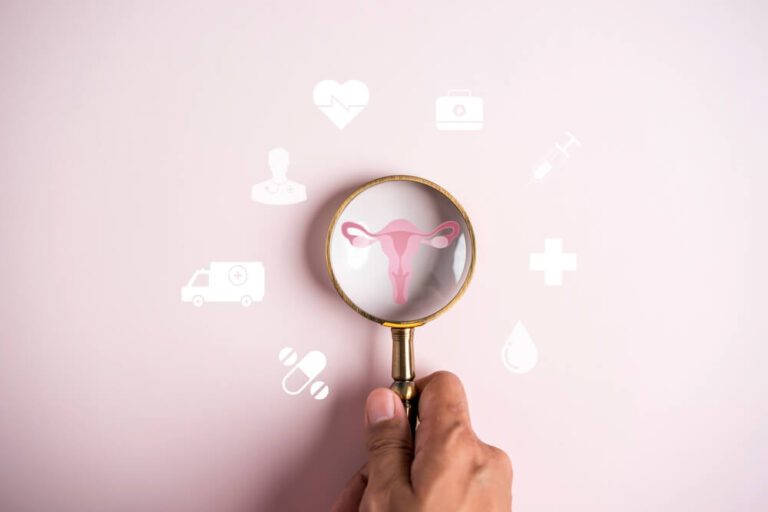 Endometrial Stripe: A Comprehensive Exploration